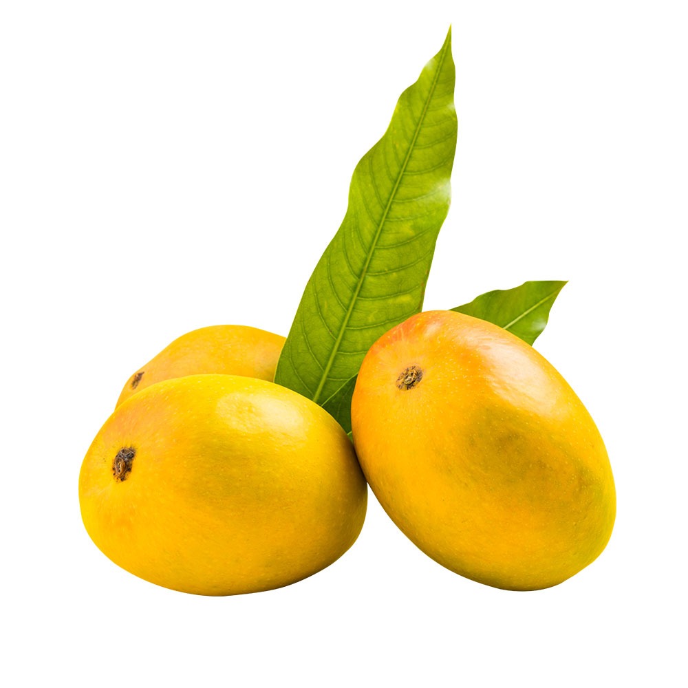 Small Size Alphonso Mangoes (Upto 200 gms each) - Aam Walla